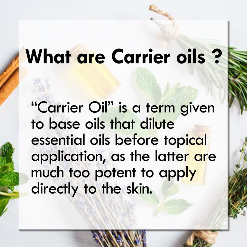 premium black currant oil extract