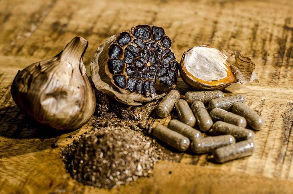 premium black garlic extract formula