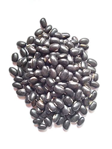 premium black kaunch seed extract