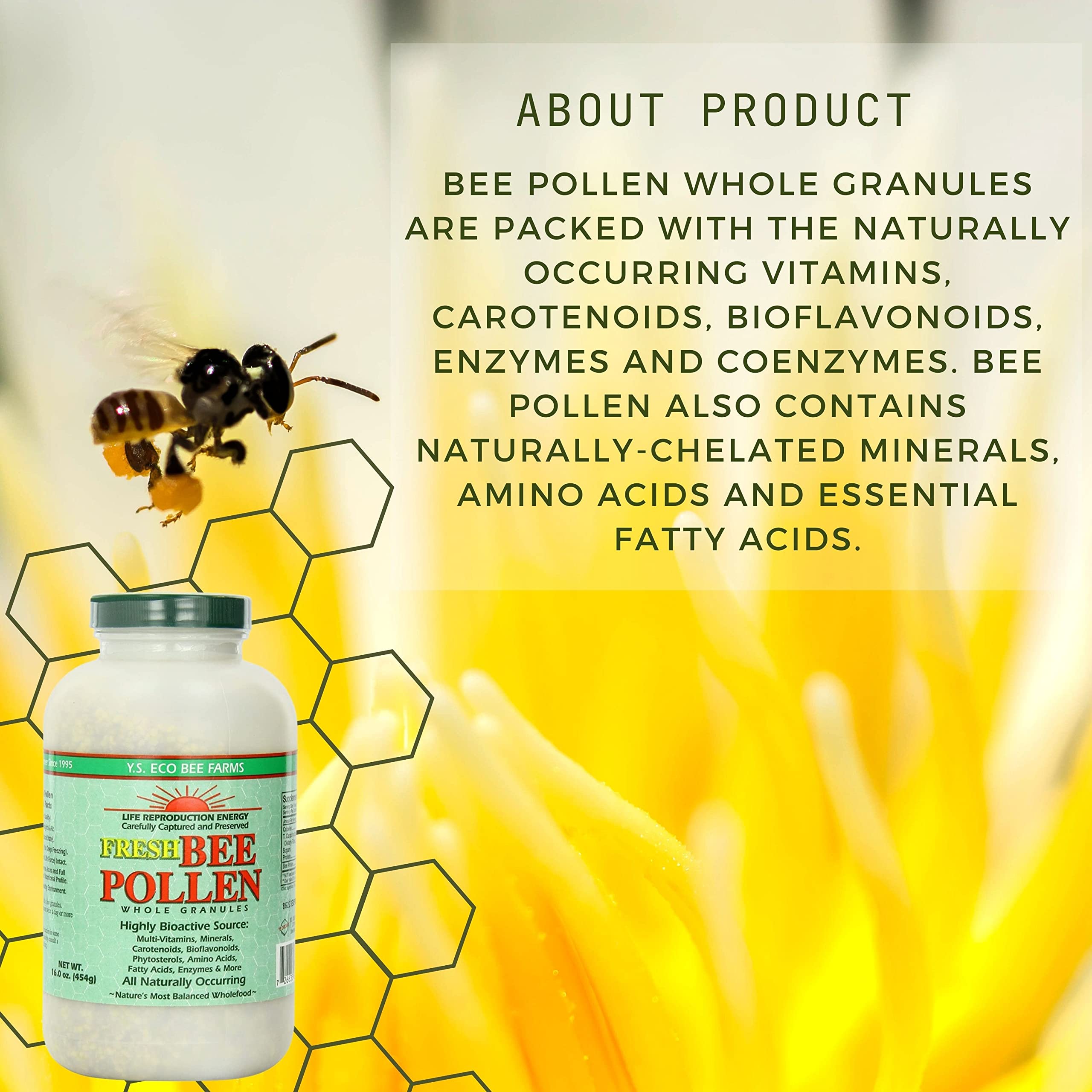 premium blended vitamin and mineral formula