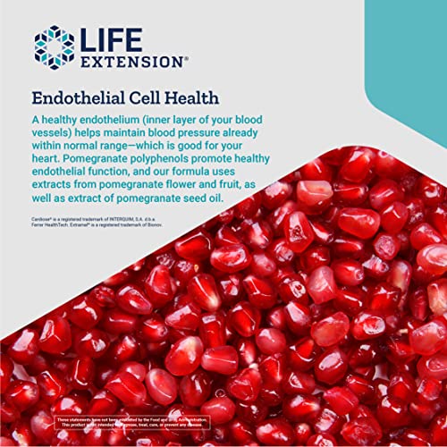 premium blended vitamin and mineral formula