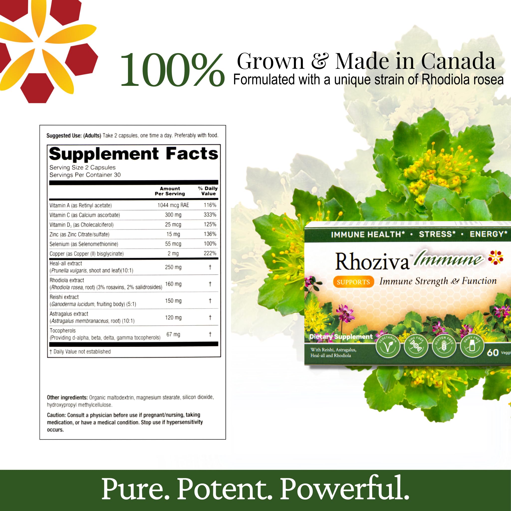 premium blended vitamin & mineral capsules