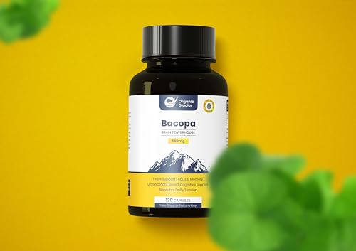 premium blended vitamin & mineral formula