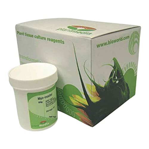 premium blended vitamin & mineral supplements for wellness