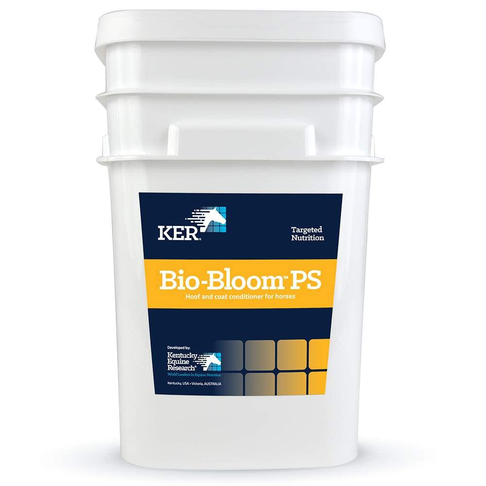 premium blended vitamin & mineral supplements