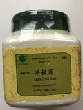 premium blended vitamin & mineral supplements