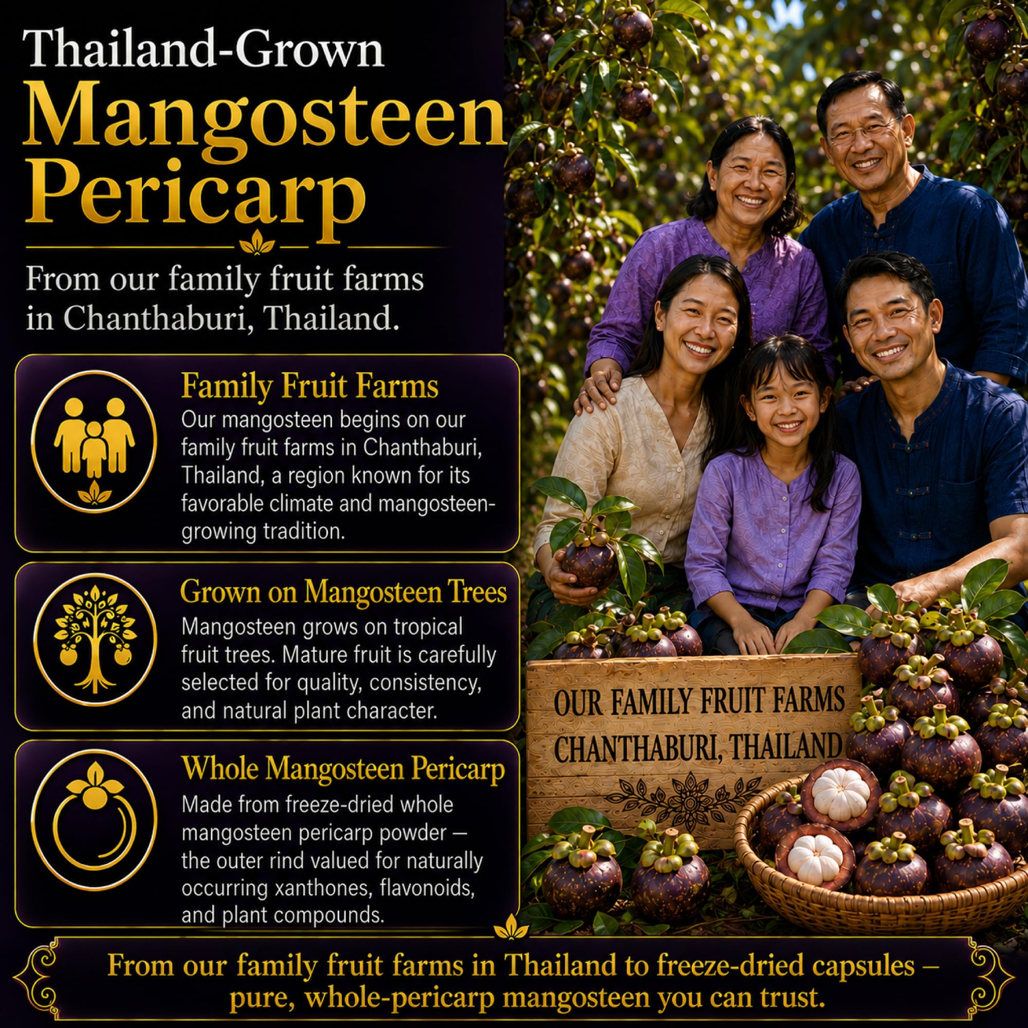 Premium blended vitamin & mineral supplements