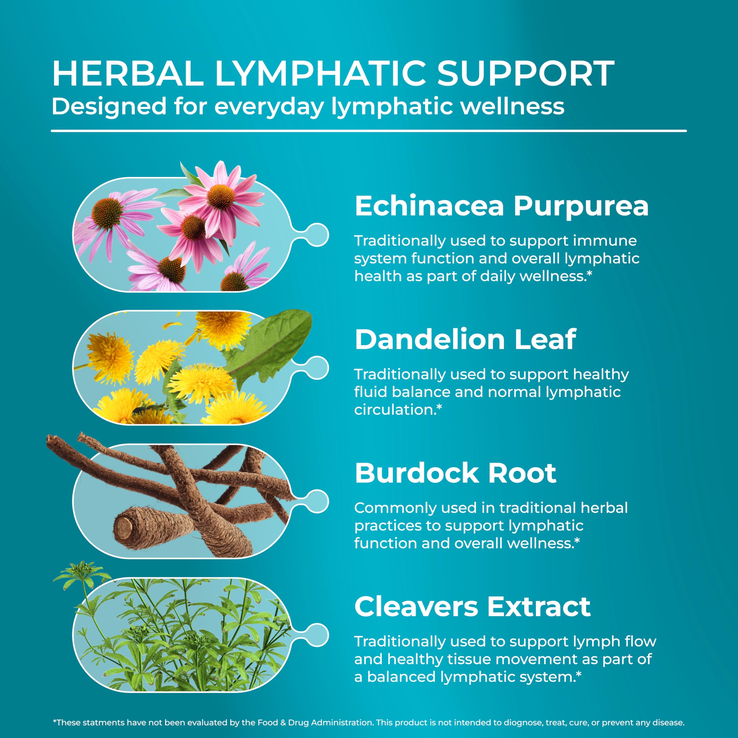 premium blended vitamin & mineral supplements
