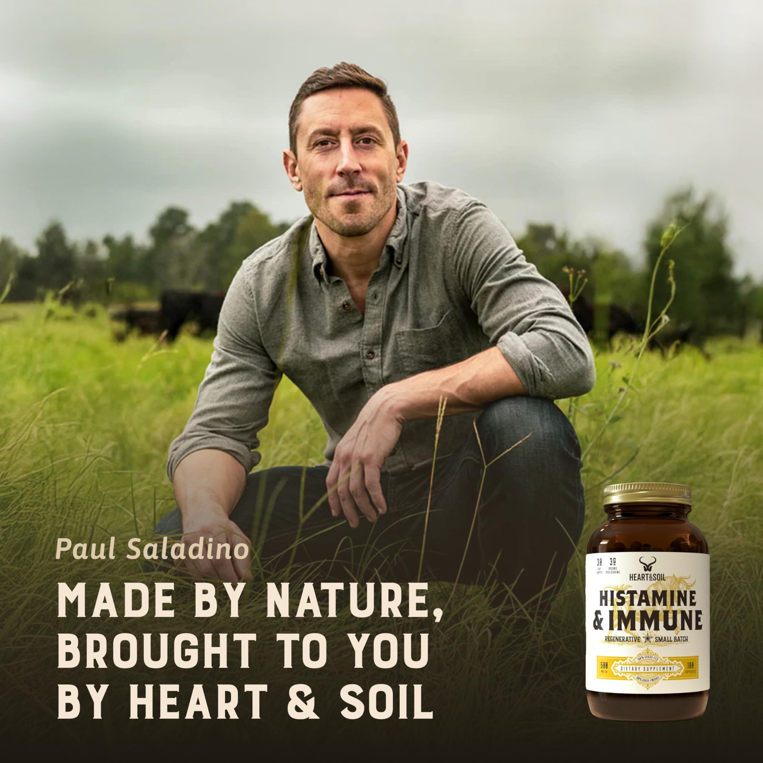 premium blended vitamin & mineral support
