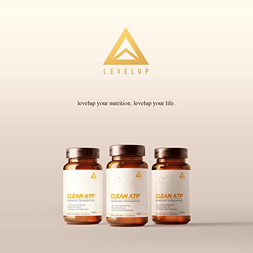 premium blended vitamin & mineral support