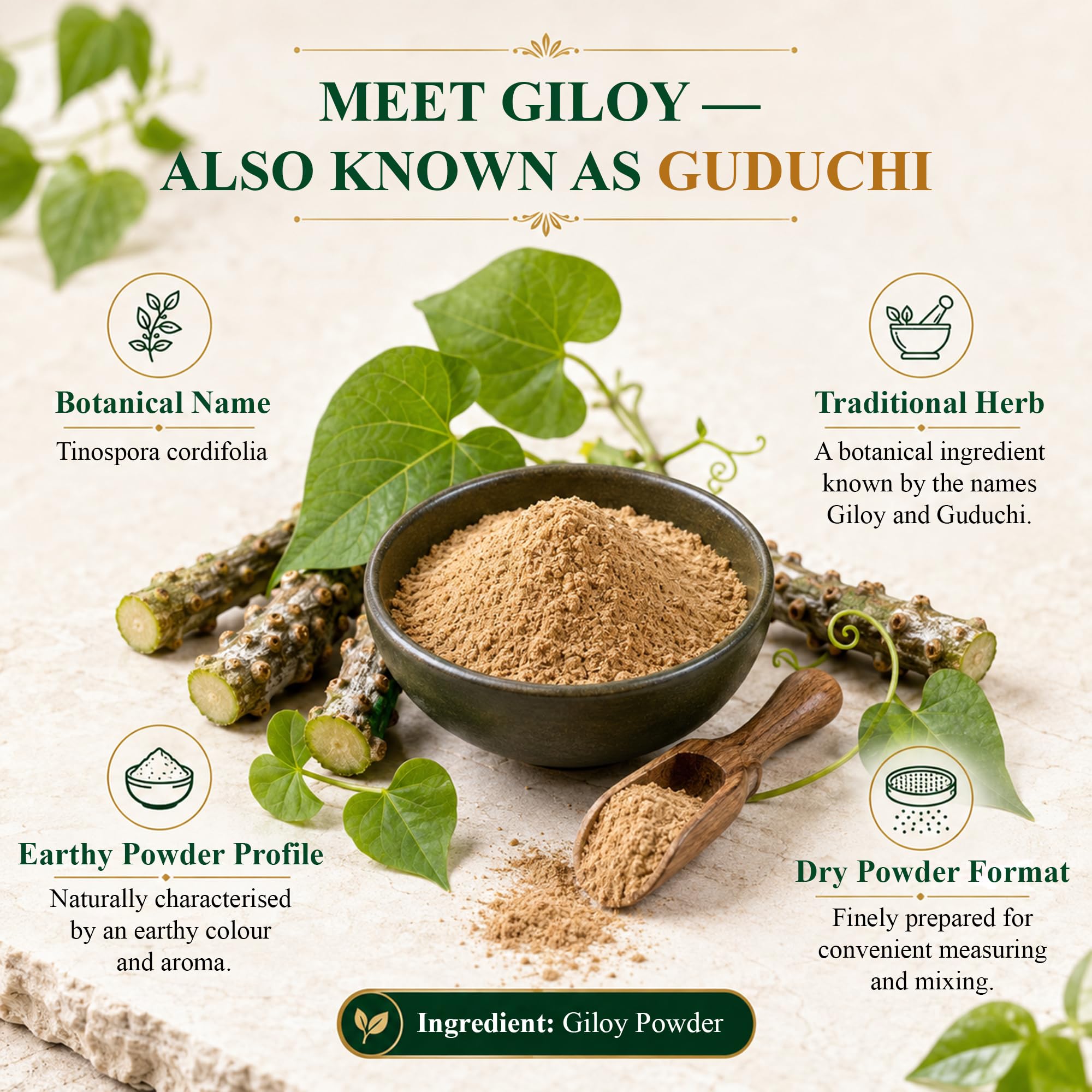 premium blended vitamin supplement