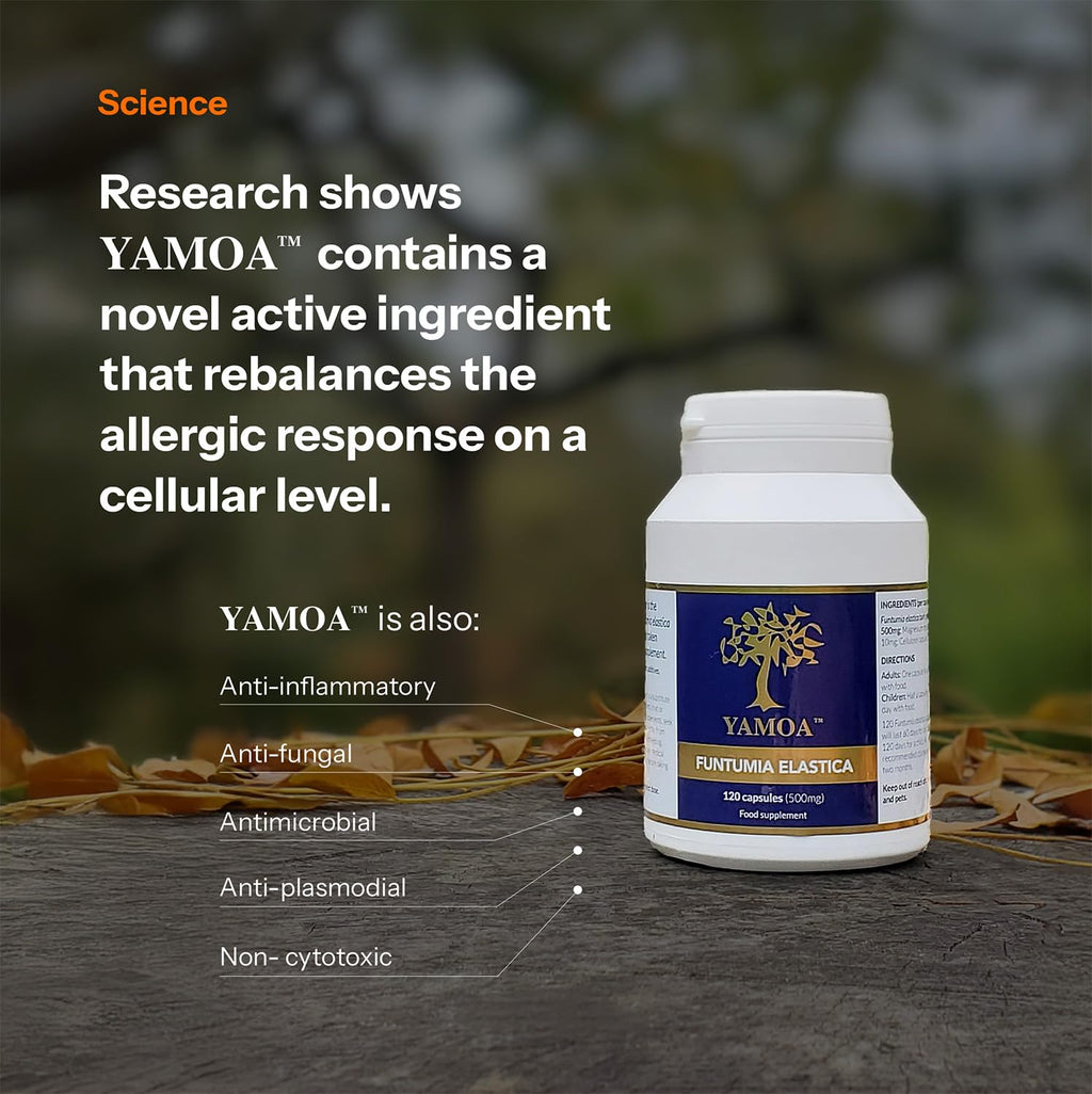 premium blended vitamin supplements for energy
