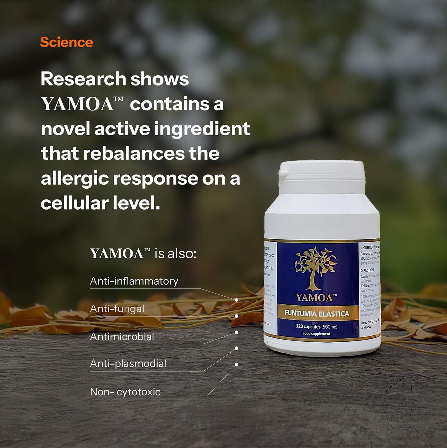 premium blended vitamin supplements for energy