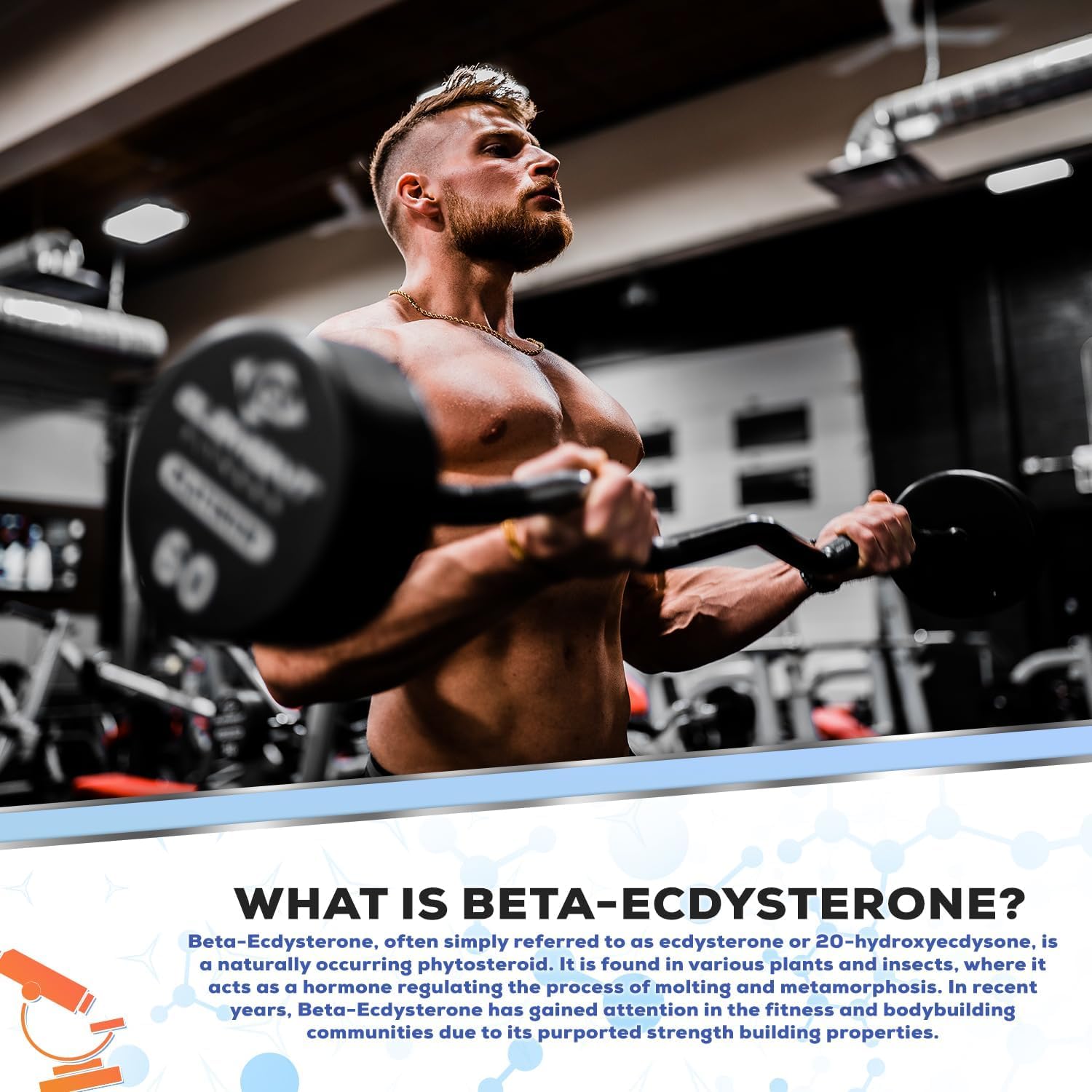 premium blended vitamin supplements for fitness