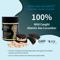 premium blended vitamin supplements