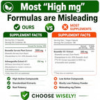 Premium Boswellia extract for vitality