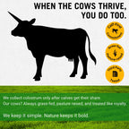 premium bovine colostrum for vitality
