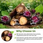 premium burdock root herbal tea