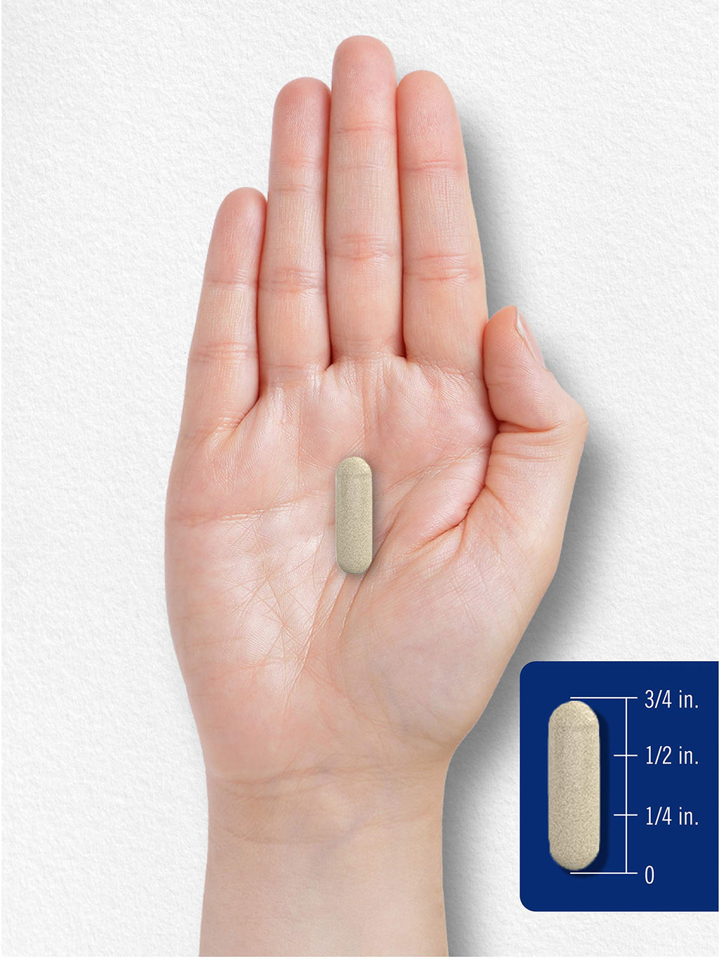 Premium Butterbur extract for immune support