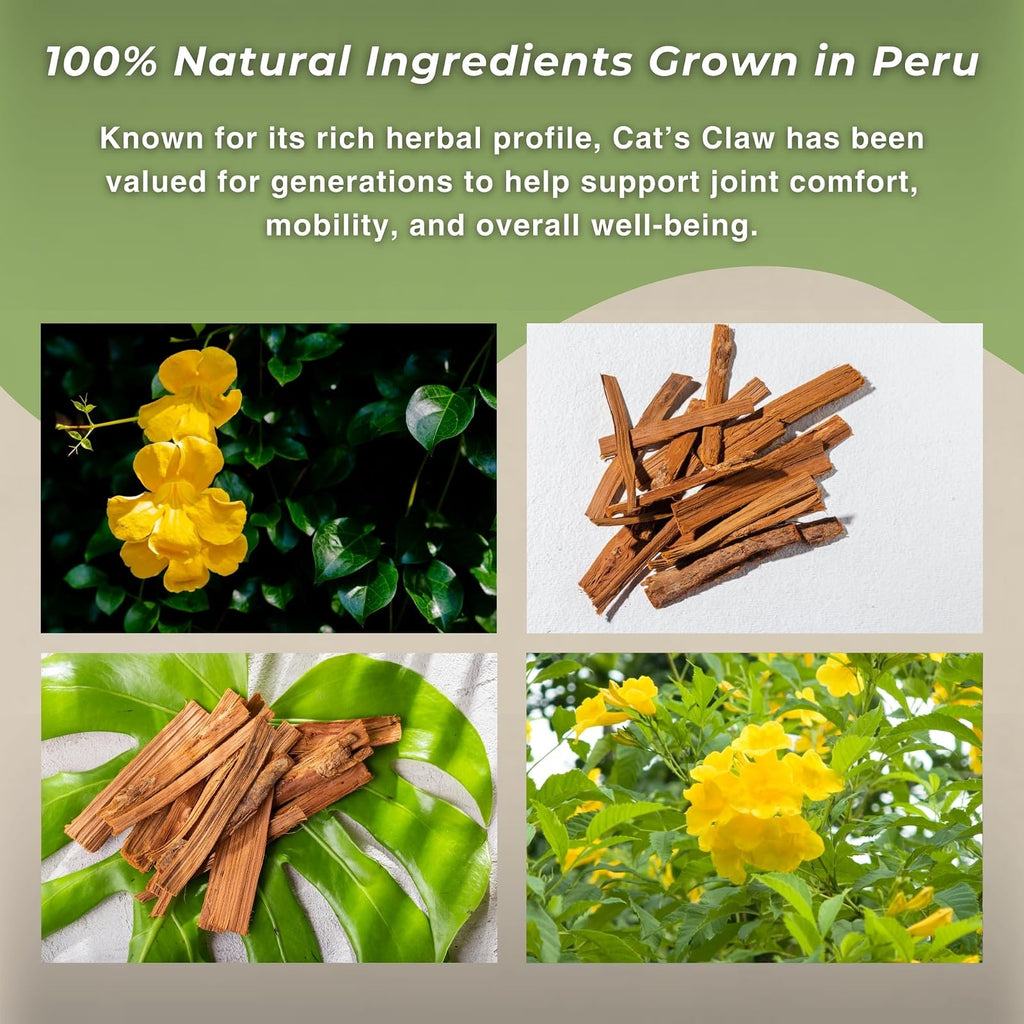 premium Cat's Claw tea for immune support