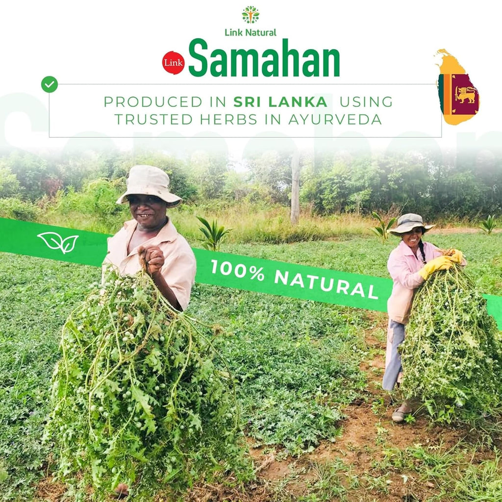 premium Ceylon blend tea bags