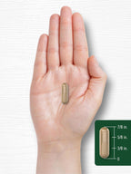 Premium Ceylon cinnamon extract capsules