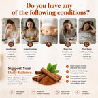 premium Ceylon cinnamon powder health benefits