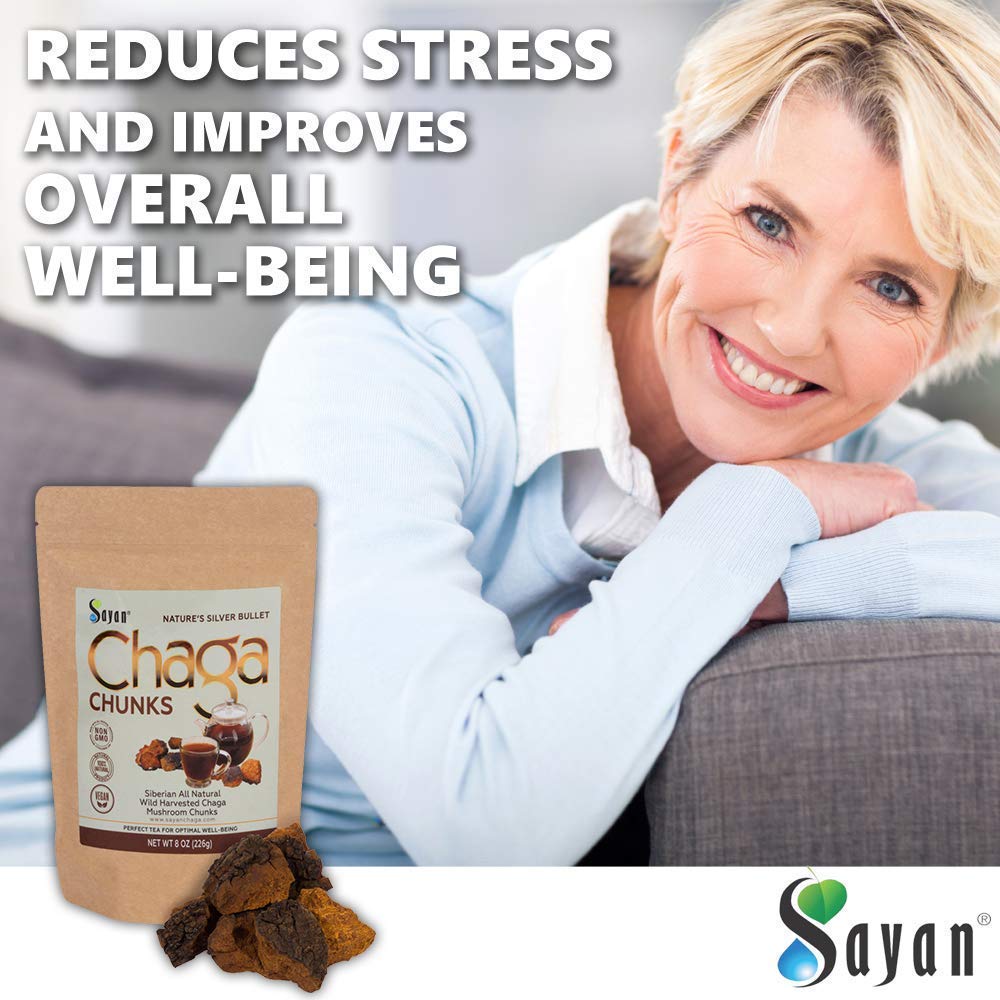 premium chaga chunks for wellness