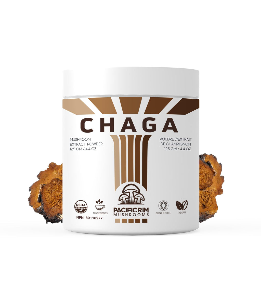 premium chaga extract powder