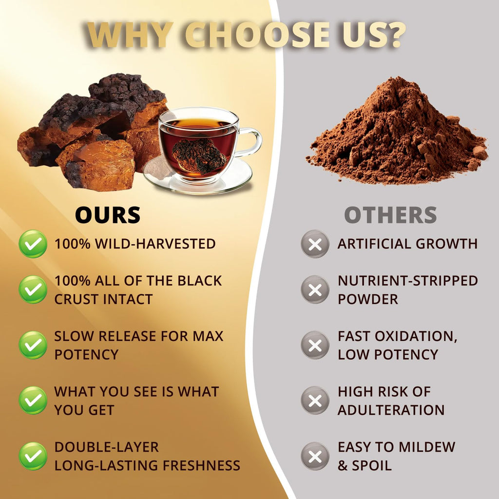 premium chaga for herbal infusions
