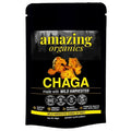 premium chaga mushroom powder benefits