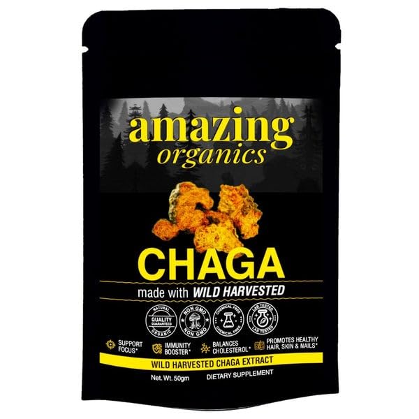 premium chaga mushroom powder benefits