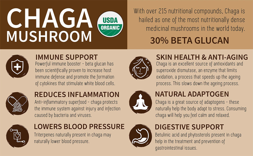 premium chaga mushroom powder