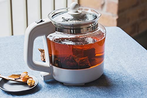 premium chaga mushrooms for wellness