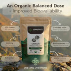 premium chaga powder for wellness