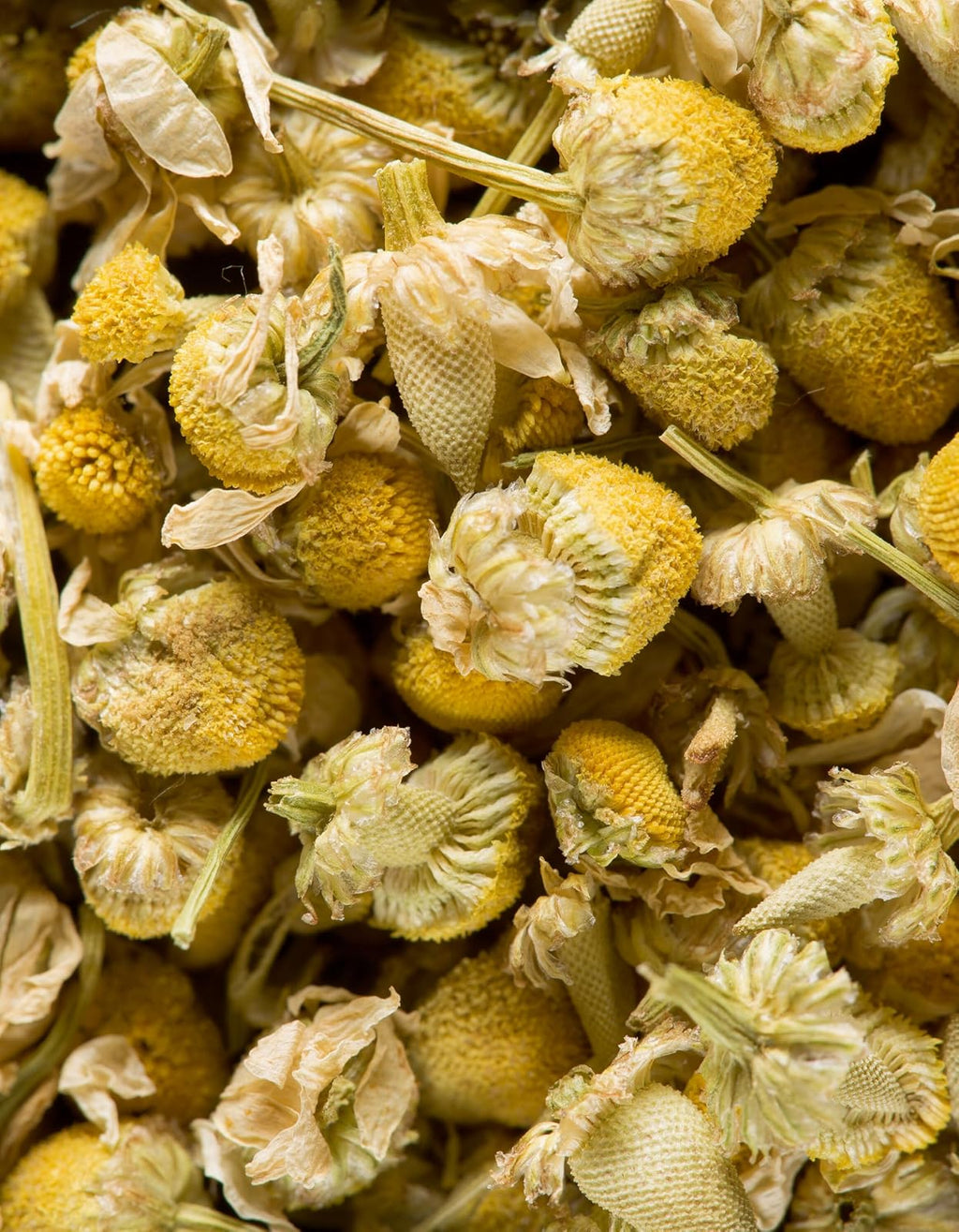 premium chamomile tea bags 21 count