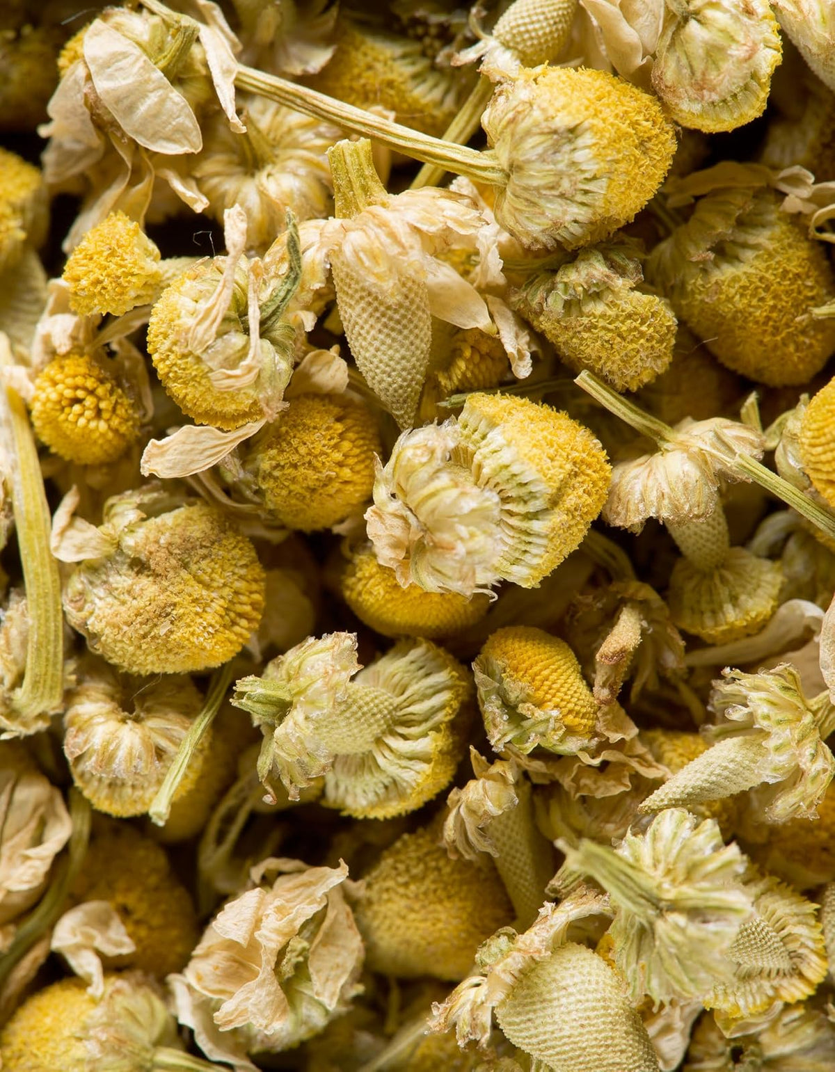 premium chamomile tea bags