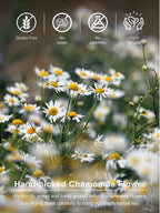 premium chamomile tea for bedtime