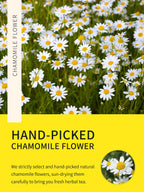 Premium chamomile tea for soothing moments