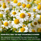 premium chamomile tea for stress relief