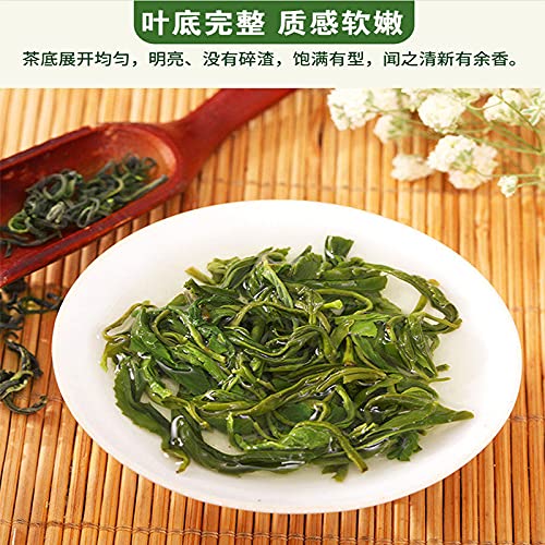 premium Chinese green tea selection