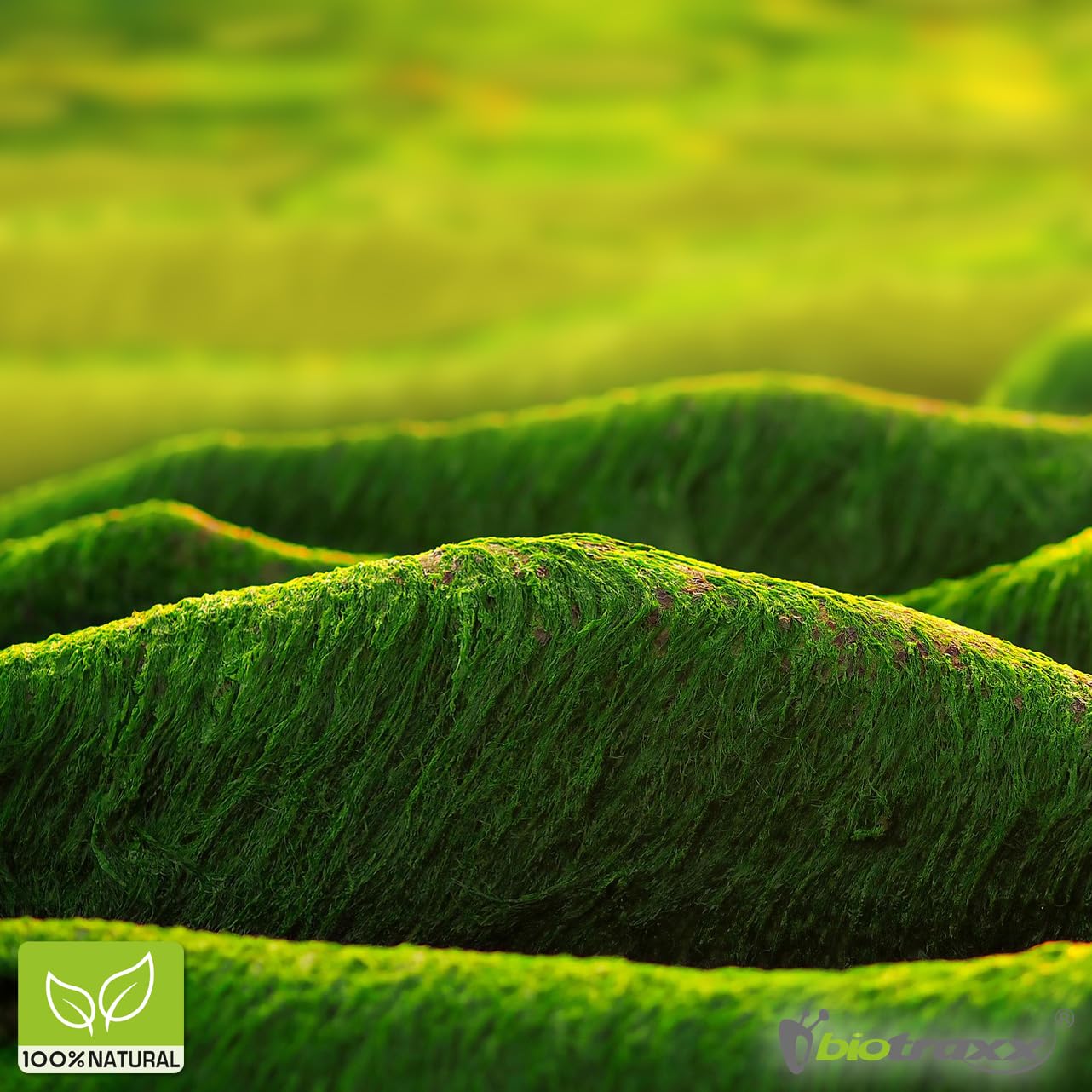 premium chlorella and spirulina