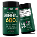 premium chlorophyll capsules for health
