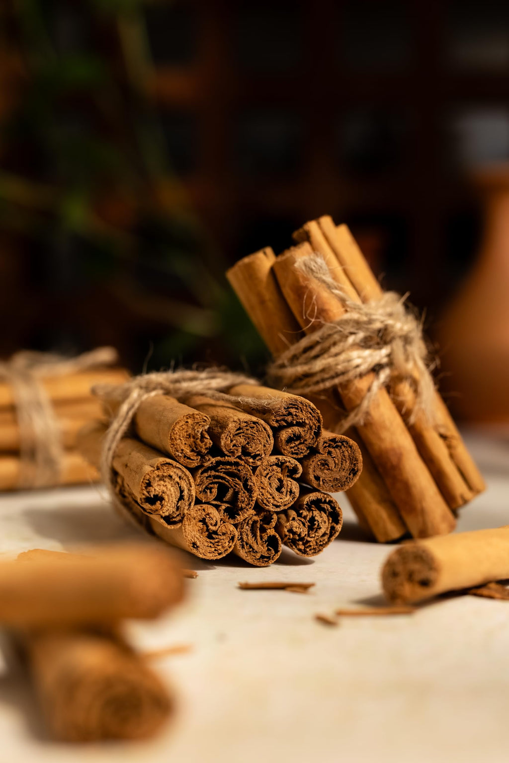 Premium cinnamon for homemade treats