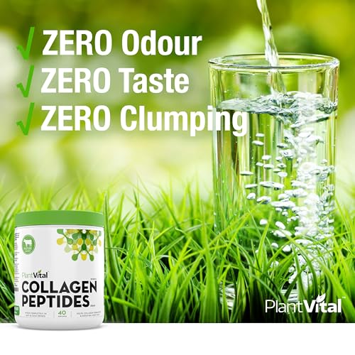 premium collagen for beauty support