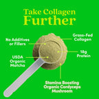 premium collagen for joint support