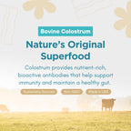 premium collagen for joint support
