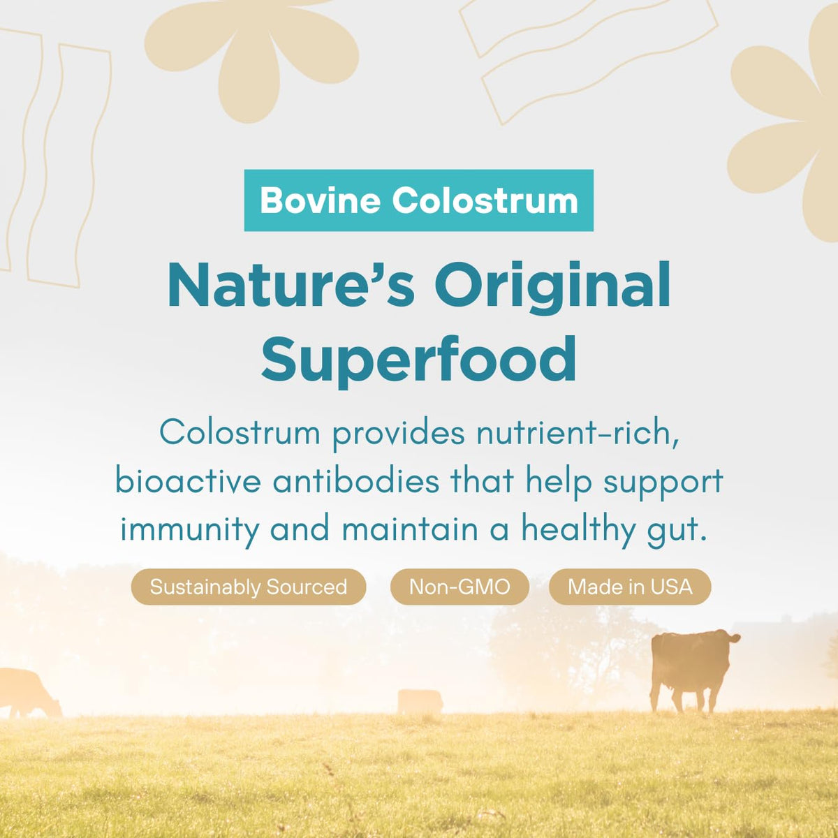 premium collagen for joint support