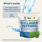 premium collagen peptides for beauty routine