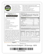 premium collagen peptides for vitality